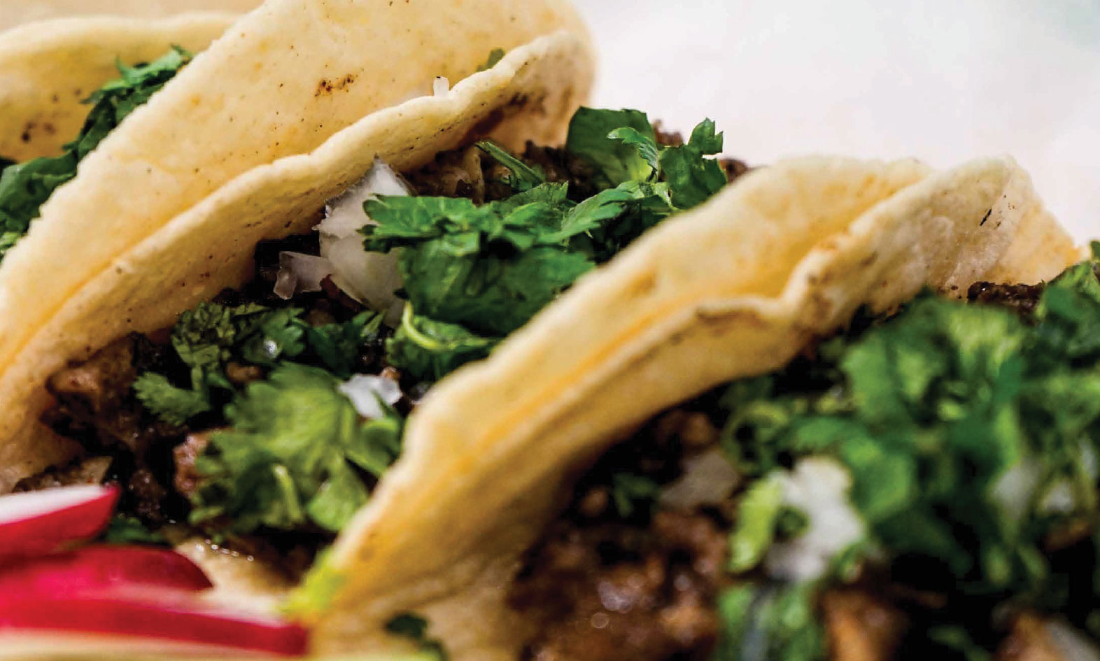 Taco Catering - Dallas-Fort Worth Taco Bar Caterer| LS Catering